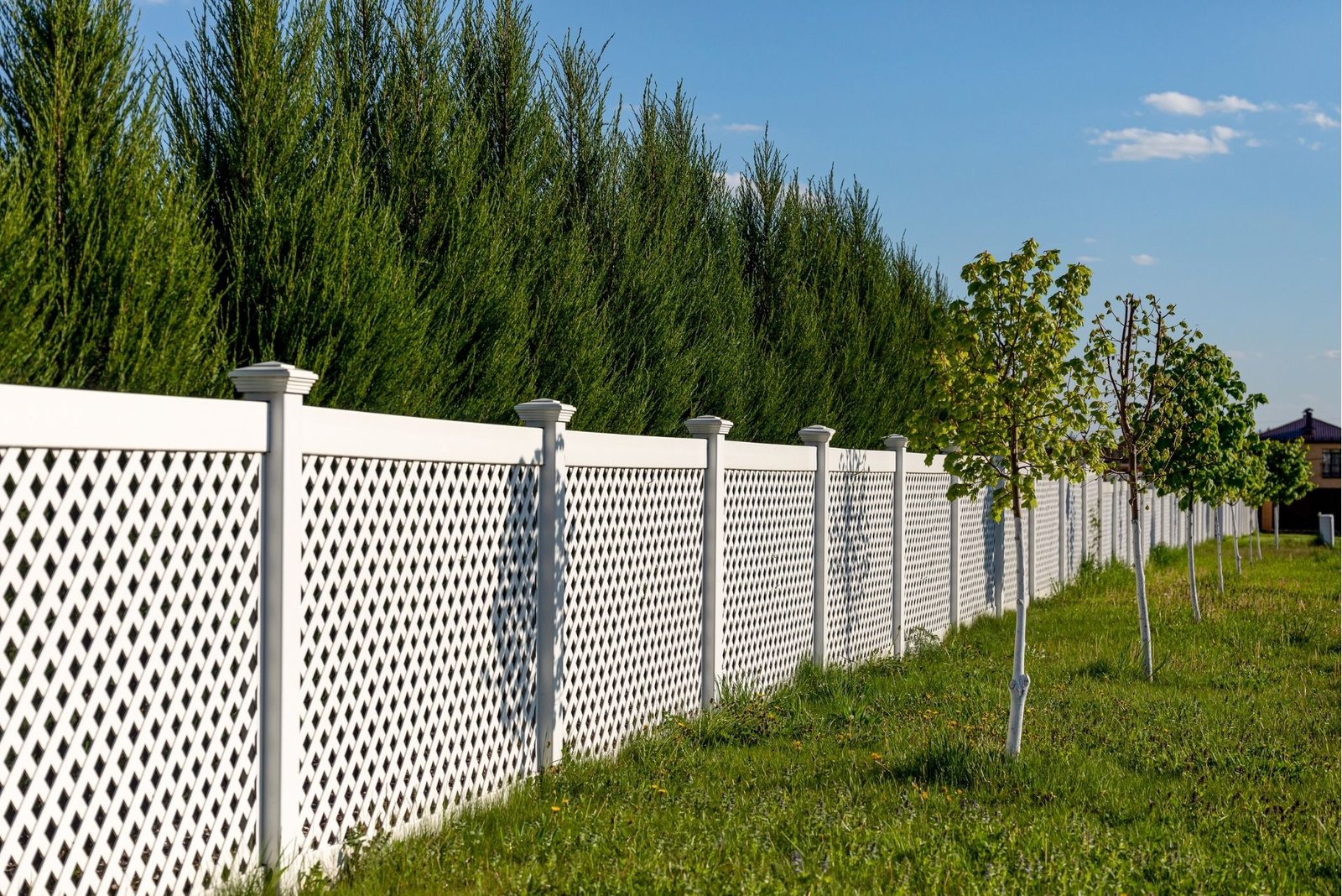 Ultimate Guide To Fencing Costs Per Meter In New Zealand